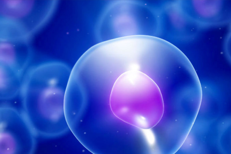 Enhancing and Advancing Life One Cell at a Time – IMS Surgical Supply